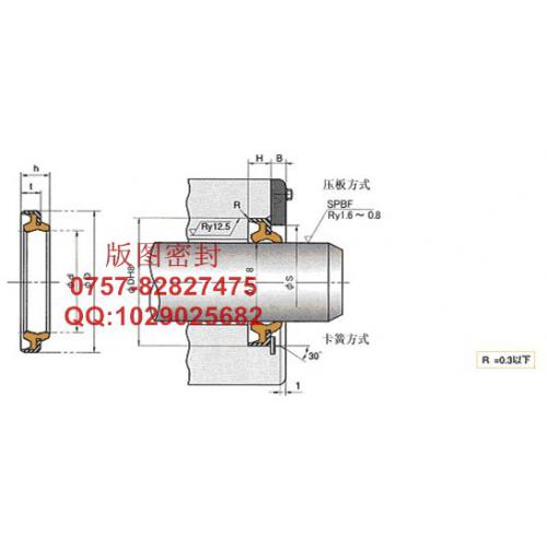 日本NOK DKB密封圈(DKB) - 佛山版图密封有限公司 - 化工设备网