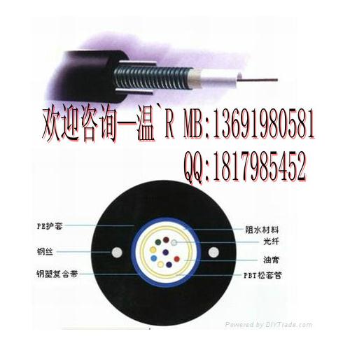 GYXTW-4A1|GYXTW-4B1|4芯GYXTW光缆(GYXTW光缆) - 深圳市耐斯龙光纤光缆有限公司 - 化工设备网